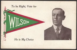 FDR Runs in 1916 | Alternative History | Fandom