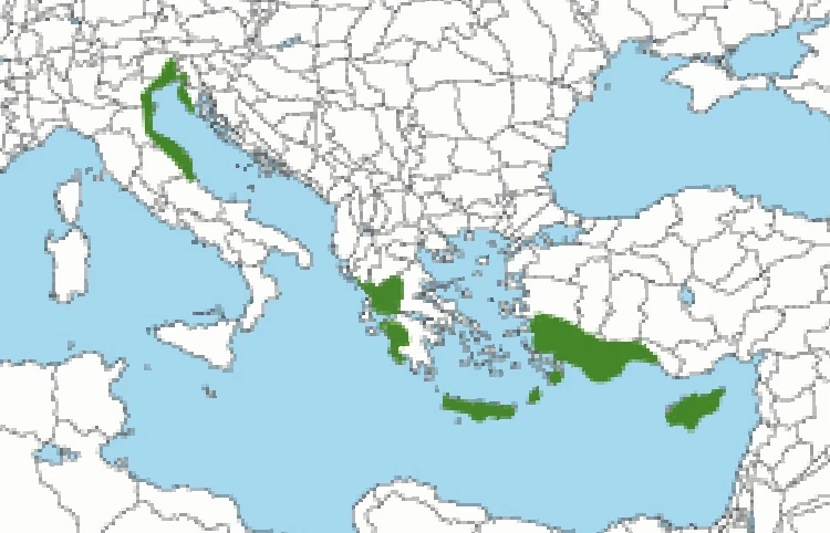 Sea People Kingdoms (Changed World) | Alternative History | Fandom