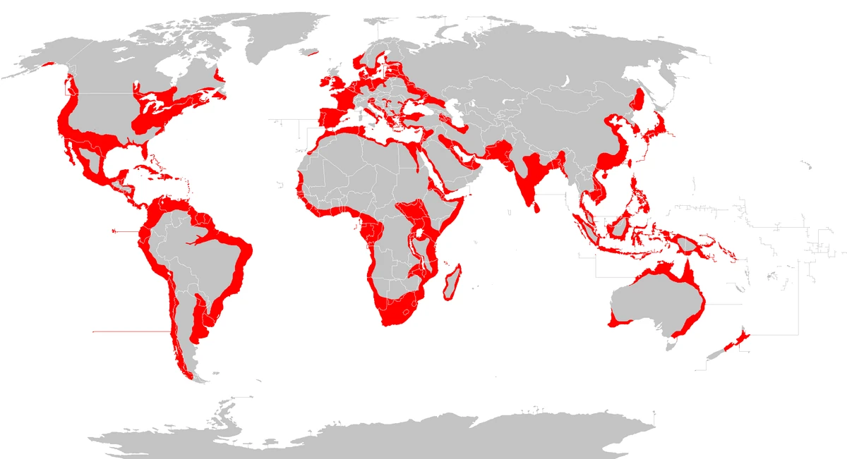 Project Noah | Alternative History | Fandom