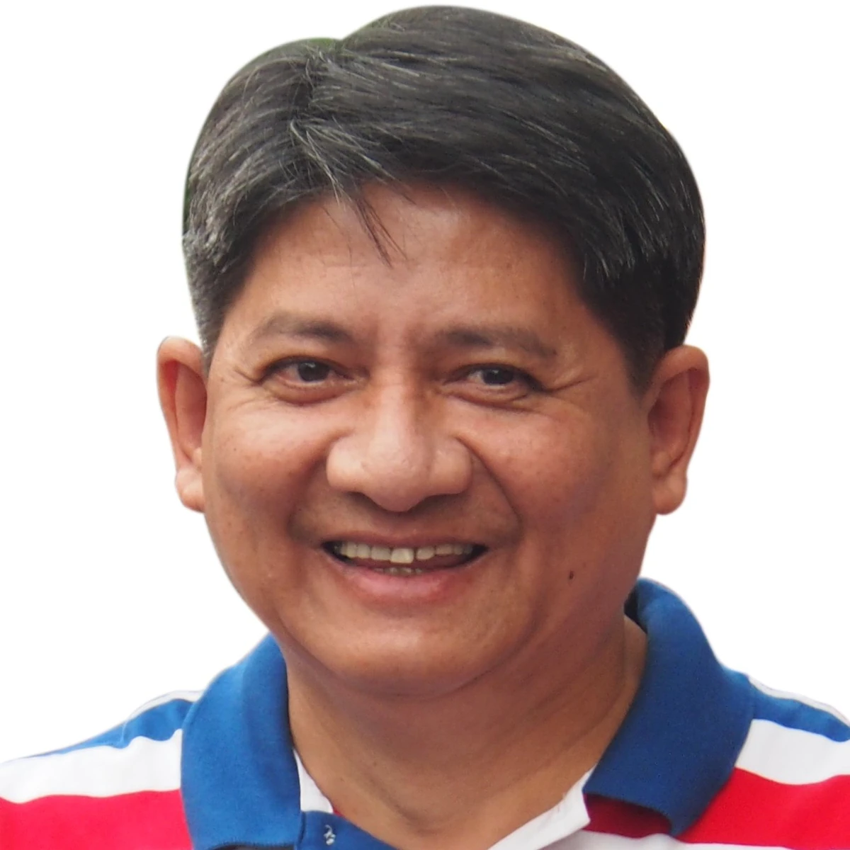 2019 Philippine House of Representatives elections (Alternative ...