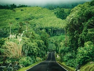 Atlantis (The Postdiluvian World) | Alternative History | Fandom