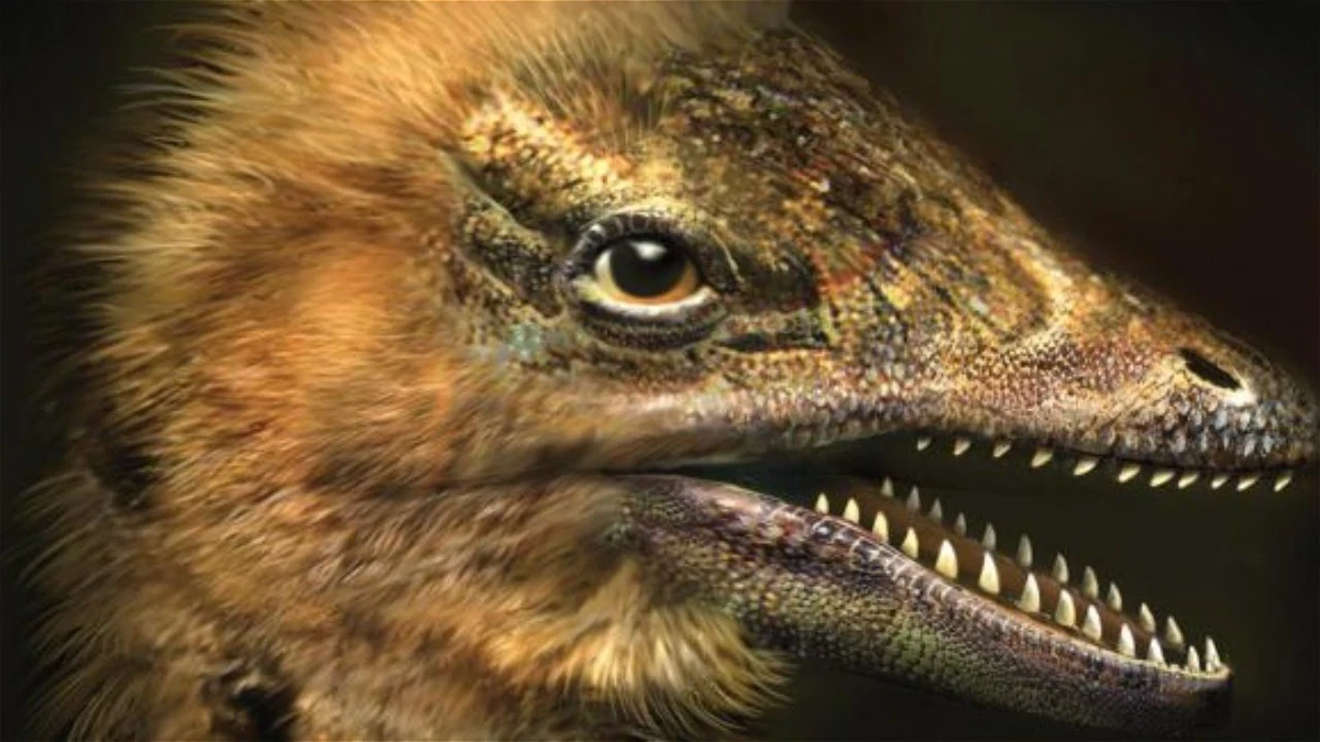 Chickasaurus (Weinland Über Alles) | Alternative History | Fandom