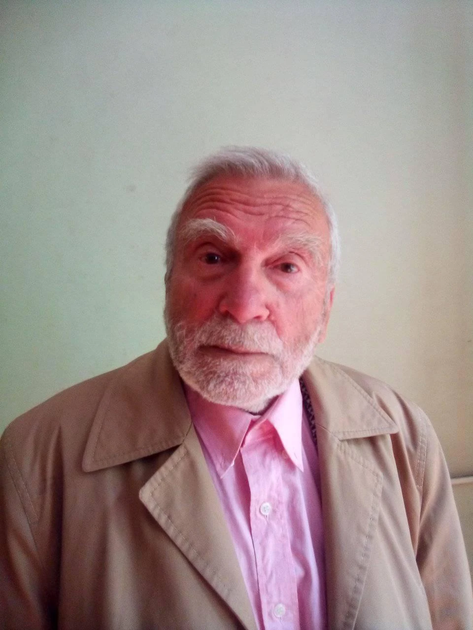 Yolo Denev (The 2020 Revolutions) | Alternative History | Fandom