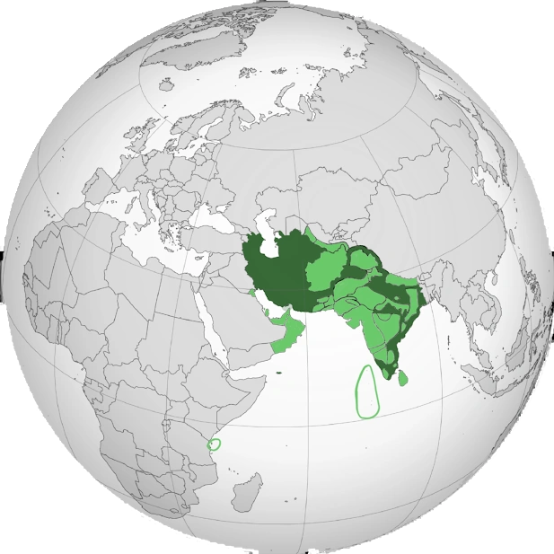 Indo-Persian Empire | Alternative History | Fandom