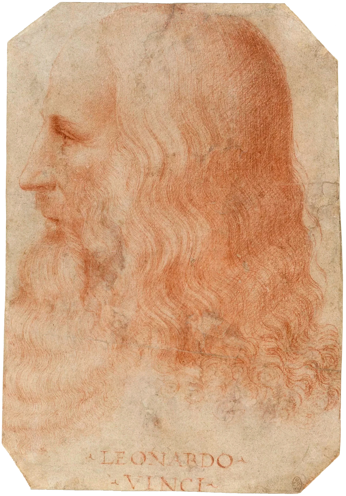 Leonardo da Vinci | Alternative History | Fandom