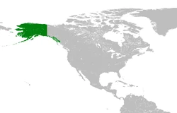 Alaska (Rewritten) | Alternative History | Fandom