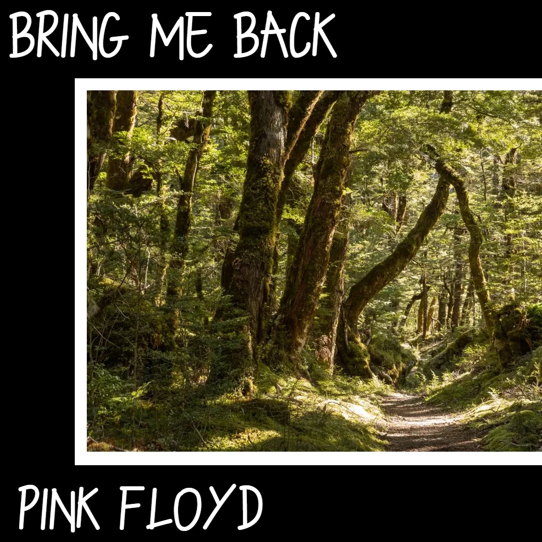 Bring Me Back (An Alternate Pink Floyd) | Alternative History | Fandom