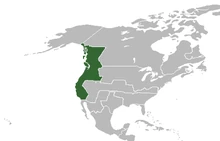 Cascadia (A Whole New World) | Alternative History | Fandom