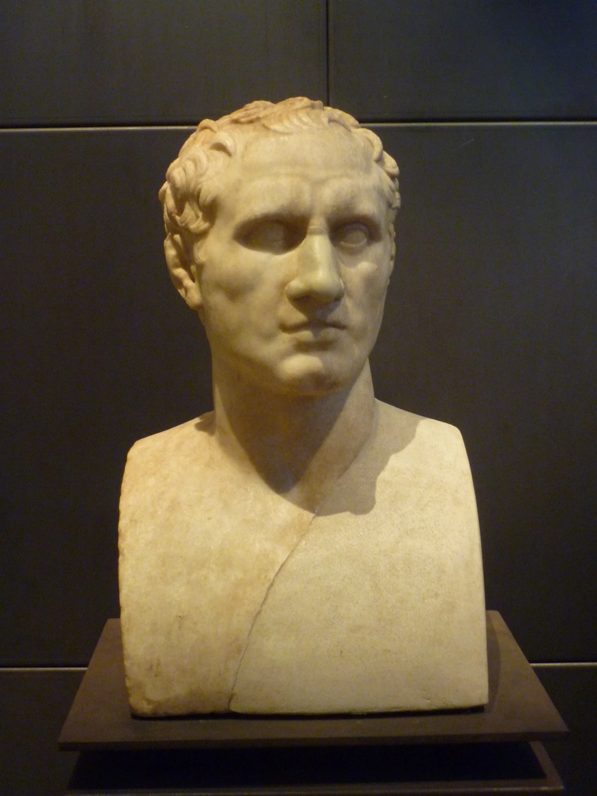 Gnaeus Sentius Saturninus (The Romans Abide) | Alternative History | Fandom