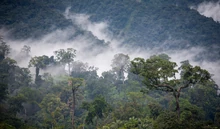 Sugondia (Ligma Universe) | Alternative History | Fandom