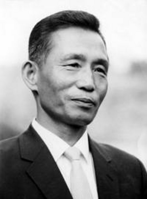 Park Chung Hee Cherry Plum And Chrysanthemum Alternative History