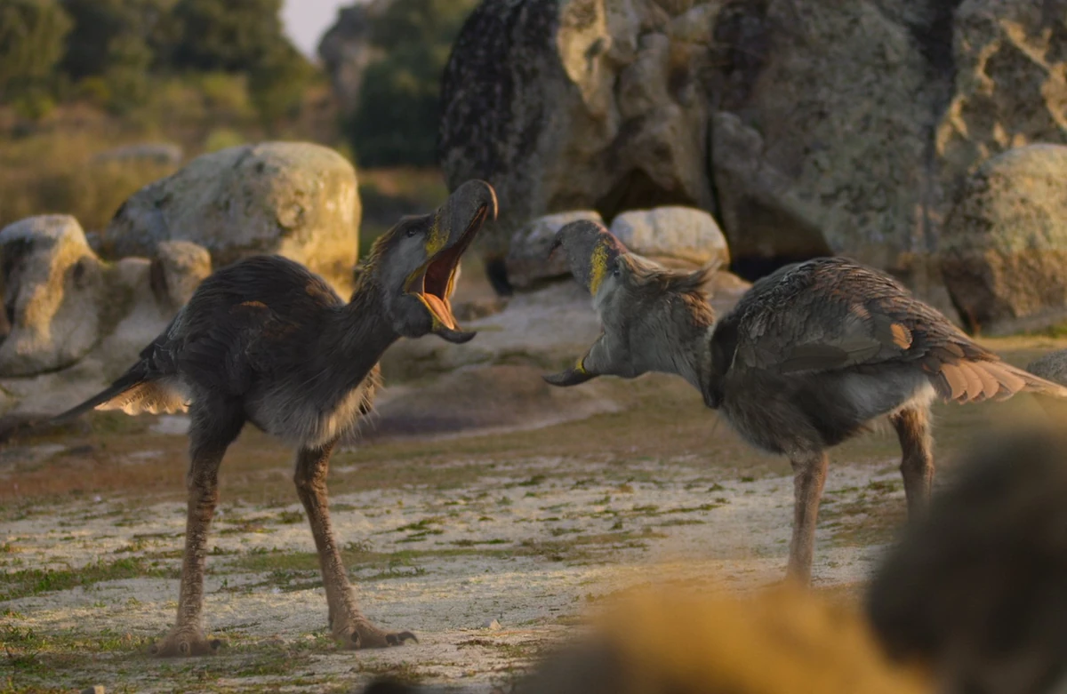 Titanis Terror Bird (Pandemonium) | Alternative History | Fandom