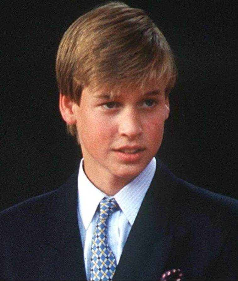 William V (Calls for Camelot) | Alternative History | Fandom