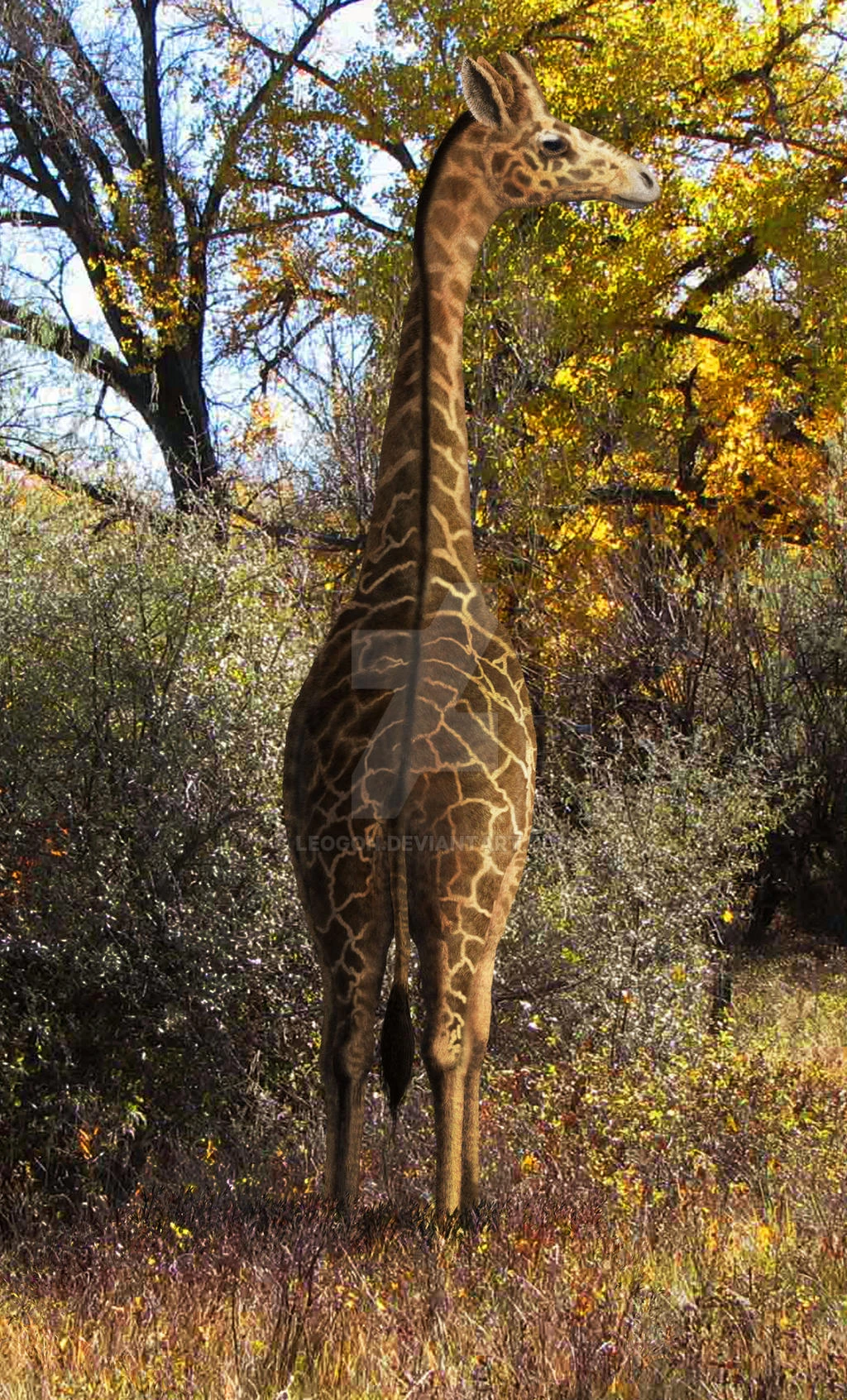 European Giraffe (Parallelity of Parallelities) | Alternative History ...