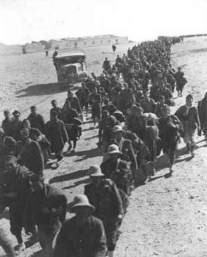 Allies (The New Order) | Alternative History | Fandom