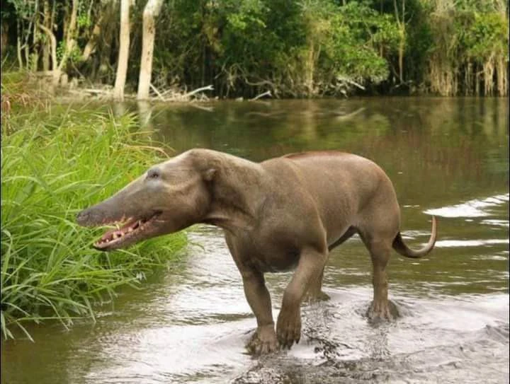 Persicetus (An Honorable Retelling) | Alternative History | Fandom