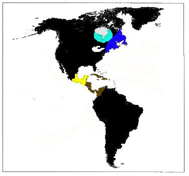 1205-1235 (New Map Game Map Game) | Alternative History | Fandom
