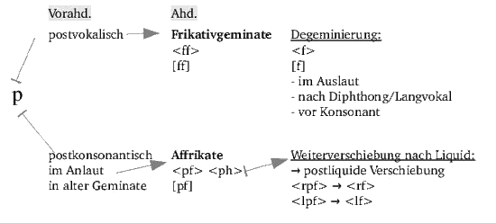 Die 2. Lautverschiebung | Althochdeutsch Wiki | Fandom