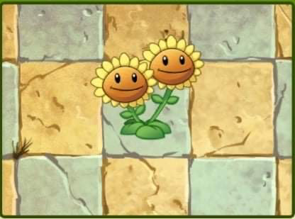 Twin Sunflower Plants Vs Zombies