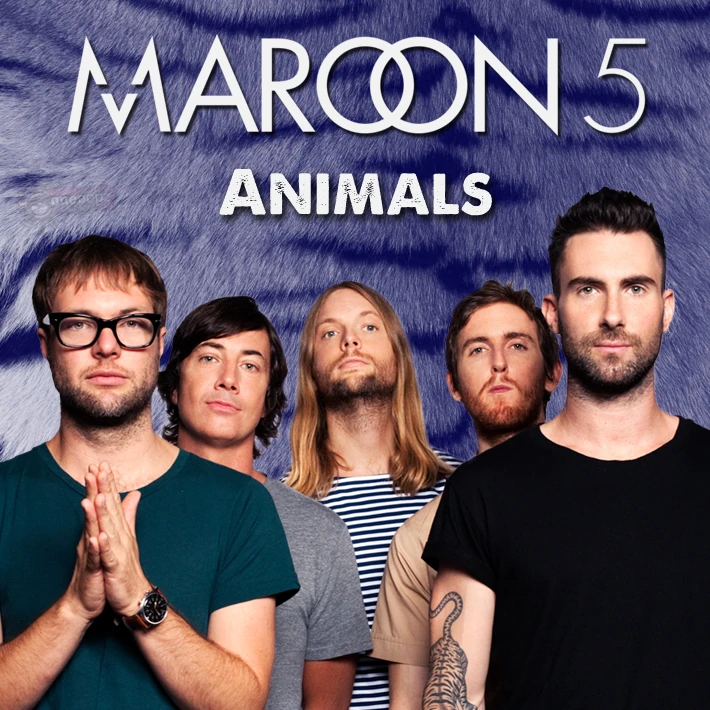 Animals | Wiki Monkey | Fandom