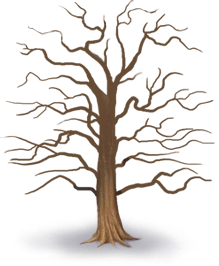 Oak Tree | Aluriya Archives Wiki | Fandom