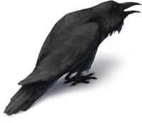 Cawing Harvest Crow Pack | Aluriya Archives Wiki | Fandom