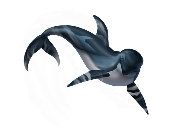 Phin | Aluriya Archives Wiki | Fandom