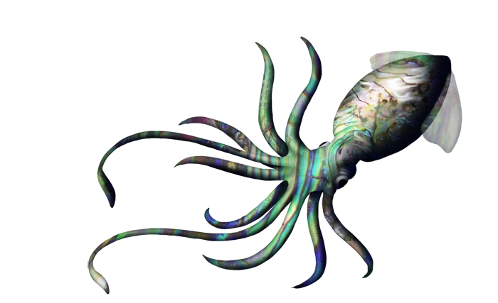 Skwid | Aluriya Archives Wiki | Fandom