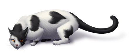 Barn Cat | Aluriya Archives Wiki | Fandom