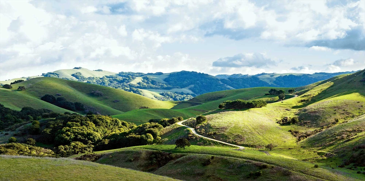 Zordel | In the land of Alvoida Wiki | Fandom