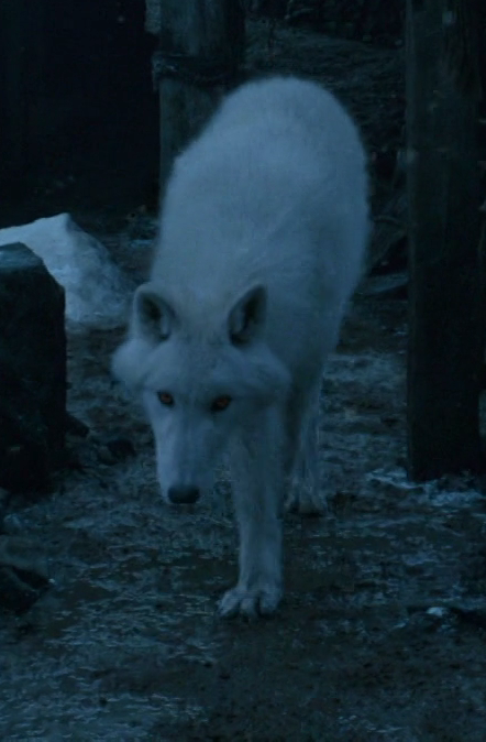 Ghost Got Jonsa Au Wiki Fandom