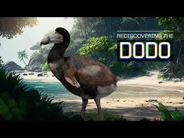 Dodo Bird | Am I Annoying? Wiki | Fandom
