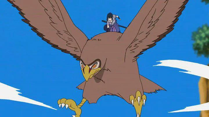 Hawk | Shinobi Uchiha Wiki | Fandom