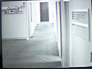 Hameln Entertainment facility | Amanda the Adventurer Wiki | Fandom