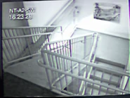 Hameln Entertainment facility | Amanda the Adventurer Wiki | Fandom