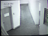 Hameln Entertainment facility | Amanda the Adventurer Wiki | Fandom