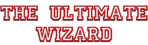 The Ultimate Wizard | Amanda & Chole Wiki | Fandom