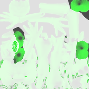 Amanda | Amanda the Adventurer Wiki | Fandom