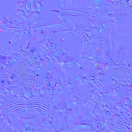 Amanda | Amanda the Adventurer Wiki | Fandom