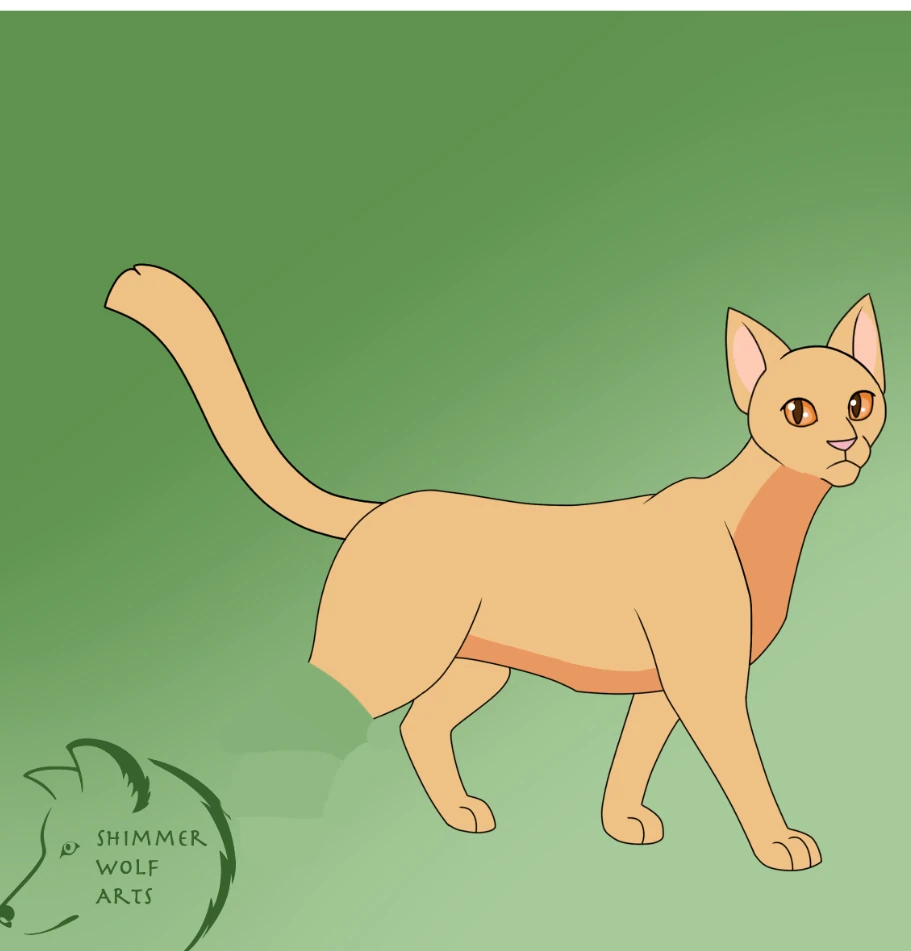 Paws of Fire/Characters | Dreamers of Ink Wiki | Fandom