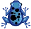 Frogs | Amateur Surgeon Wiki | Fandom