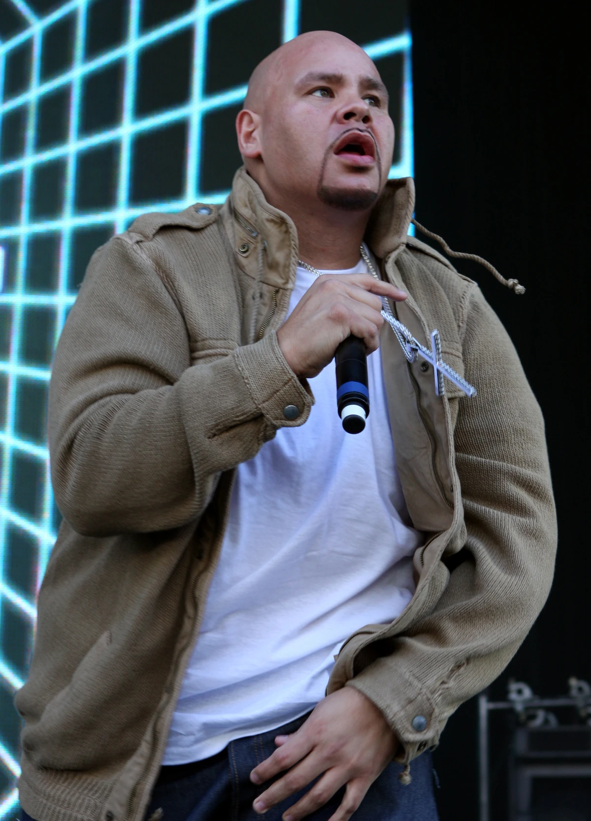 Fat Joe | The Amazing Everything Wiki | Fandom