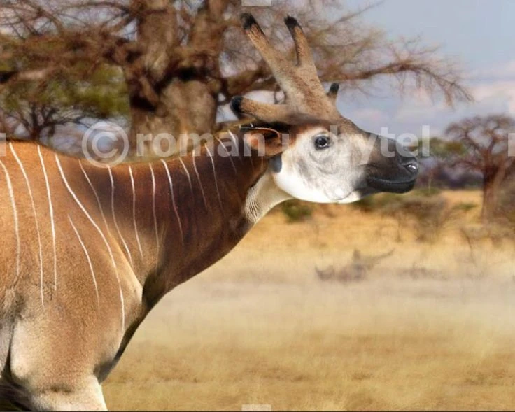 Bramatherium | The Amazing Everything Wiki | Fandom