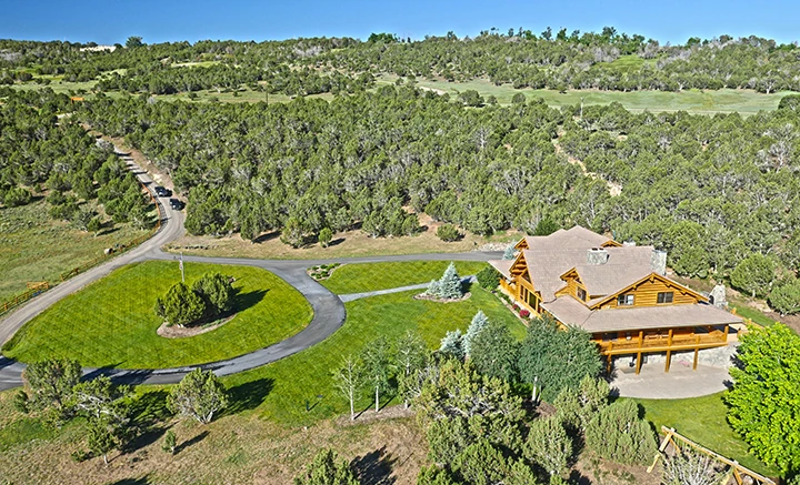 Timocracy | The Amazing Everything Wiki | Fandom