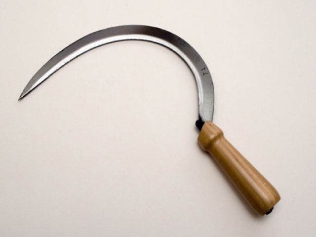 Sickle | The Amazing Everything Wiki | Fandom