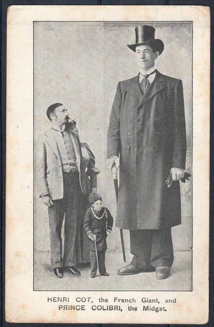 Henri Cot | The Amazing Everything Wiki | Fandom