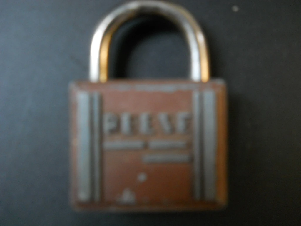 Reese locks | The Amazing Everything Wiki | Fandom