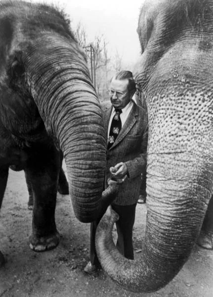 Theodore Reed (zoologist) | The Amazing Everything Wiki | Fandom