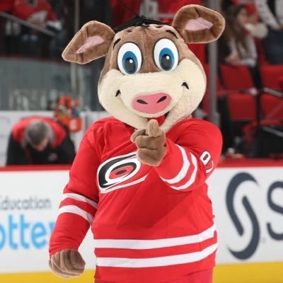 Stormy the Ice Hog | The Amazing Everything Wiki | Fandom