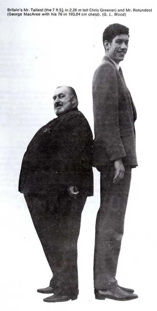 Christopher Greener | The Amazing Everything Wiki | Fandom